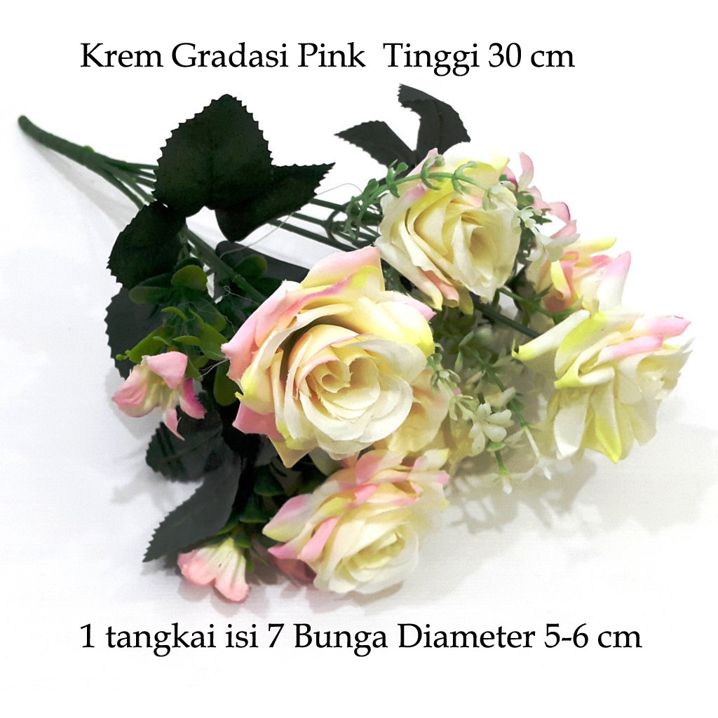 Simak! Gambar Bunga Mawar Gradasi Populer - Informasi Seputar Tanaman Hias