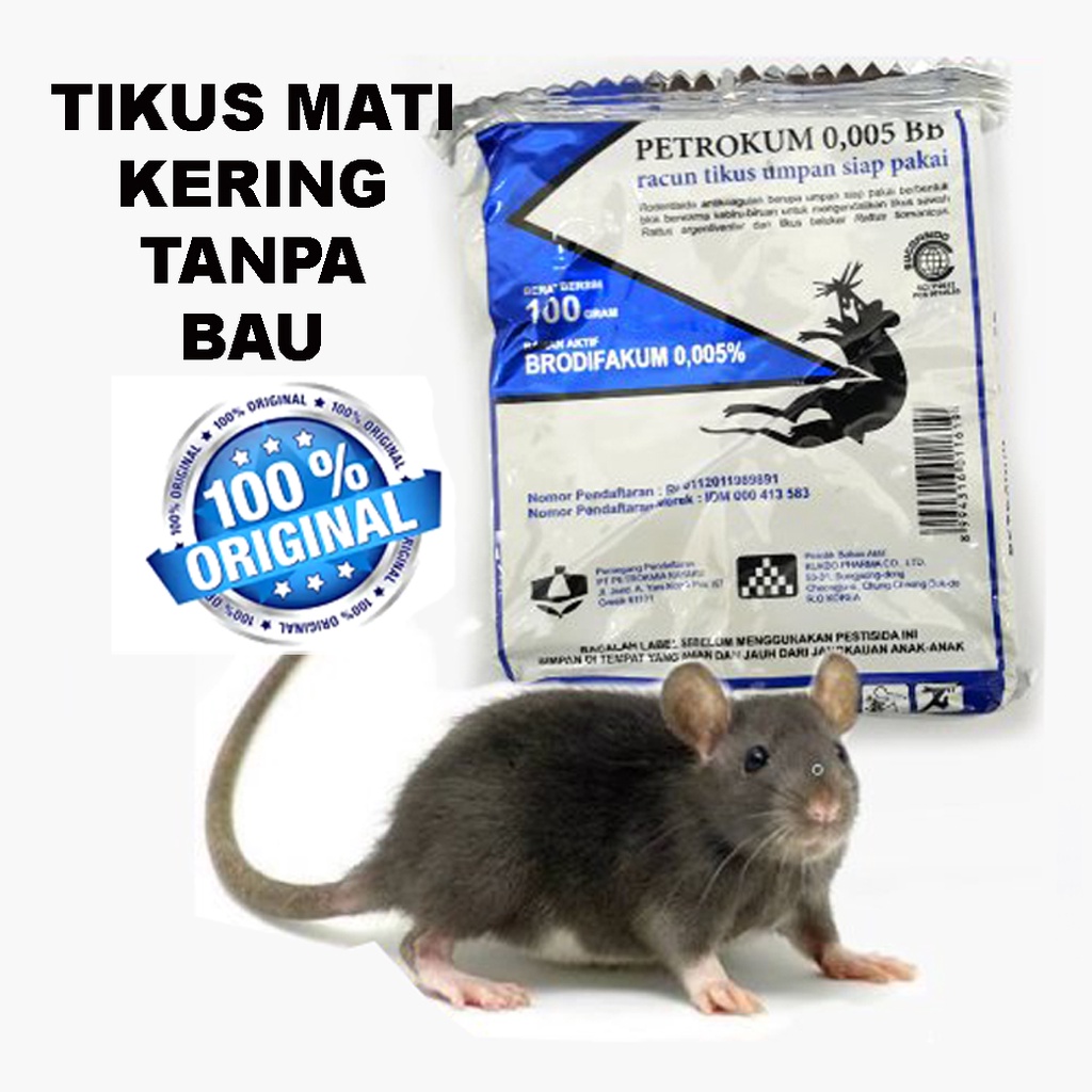 Jual RACUN / OBAT TIKUS PETROKUM 0,005 RACUN TIKUS MATI KERING PETROKUM ...