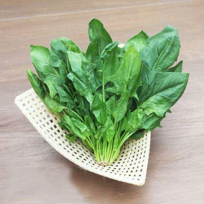 Jual 3 Biji Bayam Jepang Horenso | Benih Bayam Jepang | Benih Sayuran ... Jual 3 Biji Bayam Jepang Horenso | Benih Bayam Jepang | Benih Sayuran ...