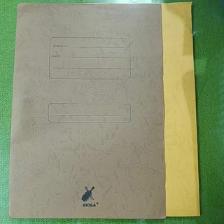 Jual Map Kertas Buffalo Biola Snell Acco / Map Kulit Jeruk / Stop Map ...