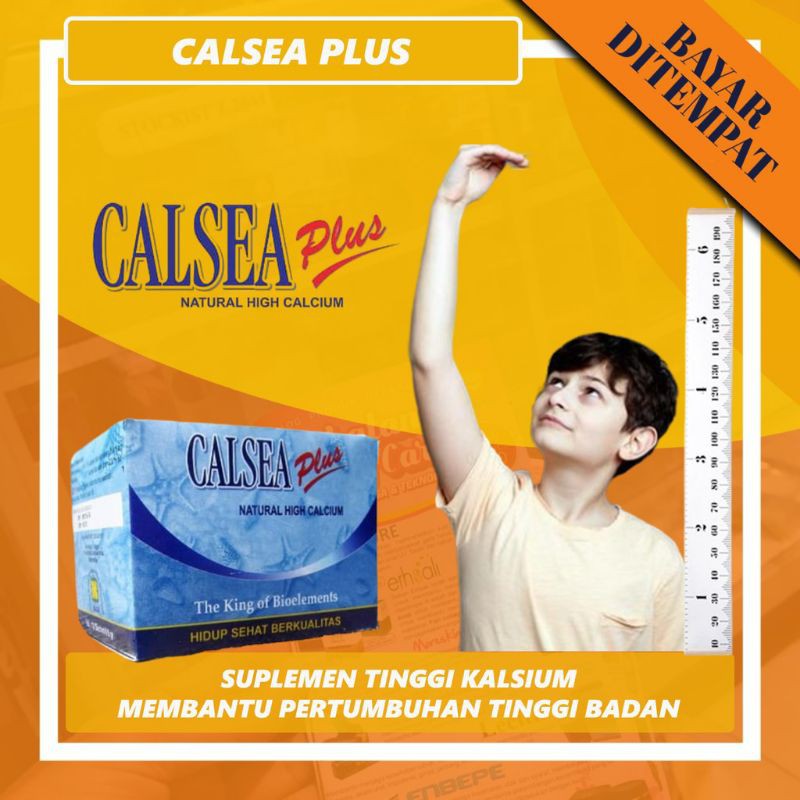 Jual Natural Calsea Plus Nasa/NCL/penambah tinggi badan/tulang ...