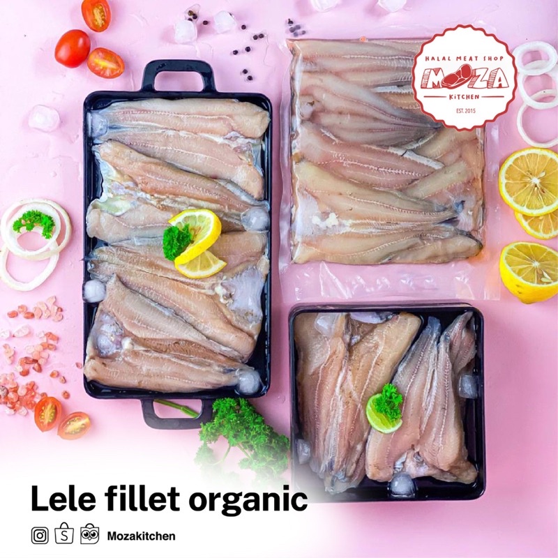 Jual lele fillet organic | Shopee Indonesia
