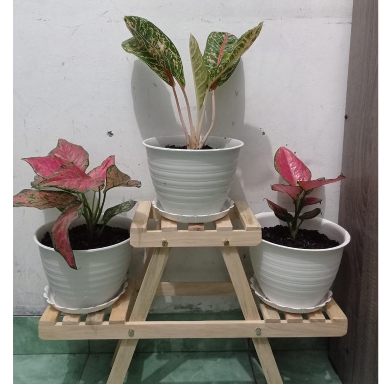Jual Rak bunga susun kayu minimalis Rak bunga kayu tingkat Rak bunga ...