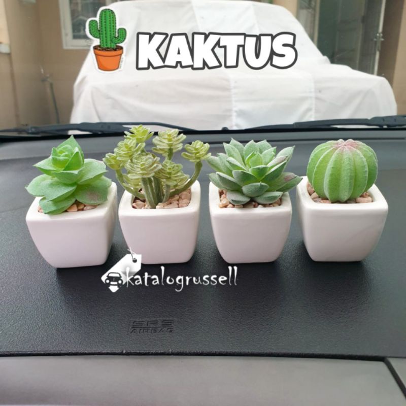Jual Hiasan Bunga dan Kaktus Miniatur // Kaktus - Bunga Artificial Ala ...