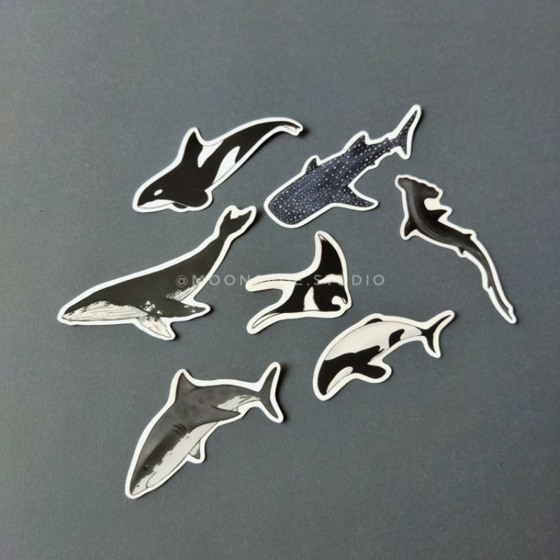 Jual MOONSAGE STUDIO Ocean Creatures sticker pack 2nd edition | Shopee Indonesia