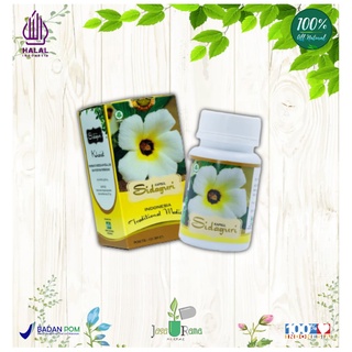 Jual Obat Malaria Kapsul Sidaguri by Green Zone | Shopee Indonesia