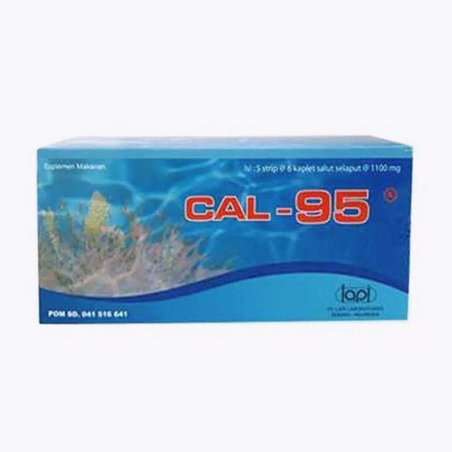 Jual CAL 95 Calsium Ibu Hamil - Cal 95 box isi 30 Tablet | Shopee Indonesia