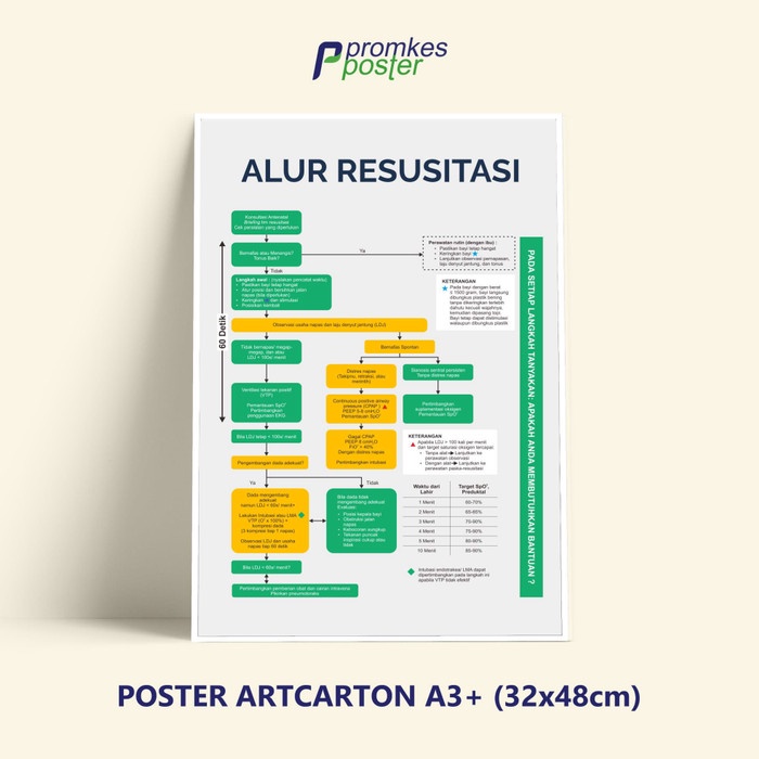 Jual Poster Kesehatan Algoritma Alur Resusitasi Indonesia|Shopee Indonesia