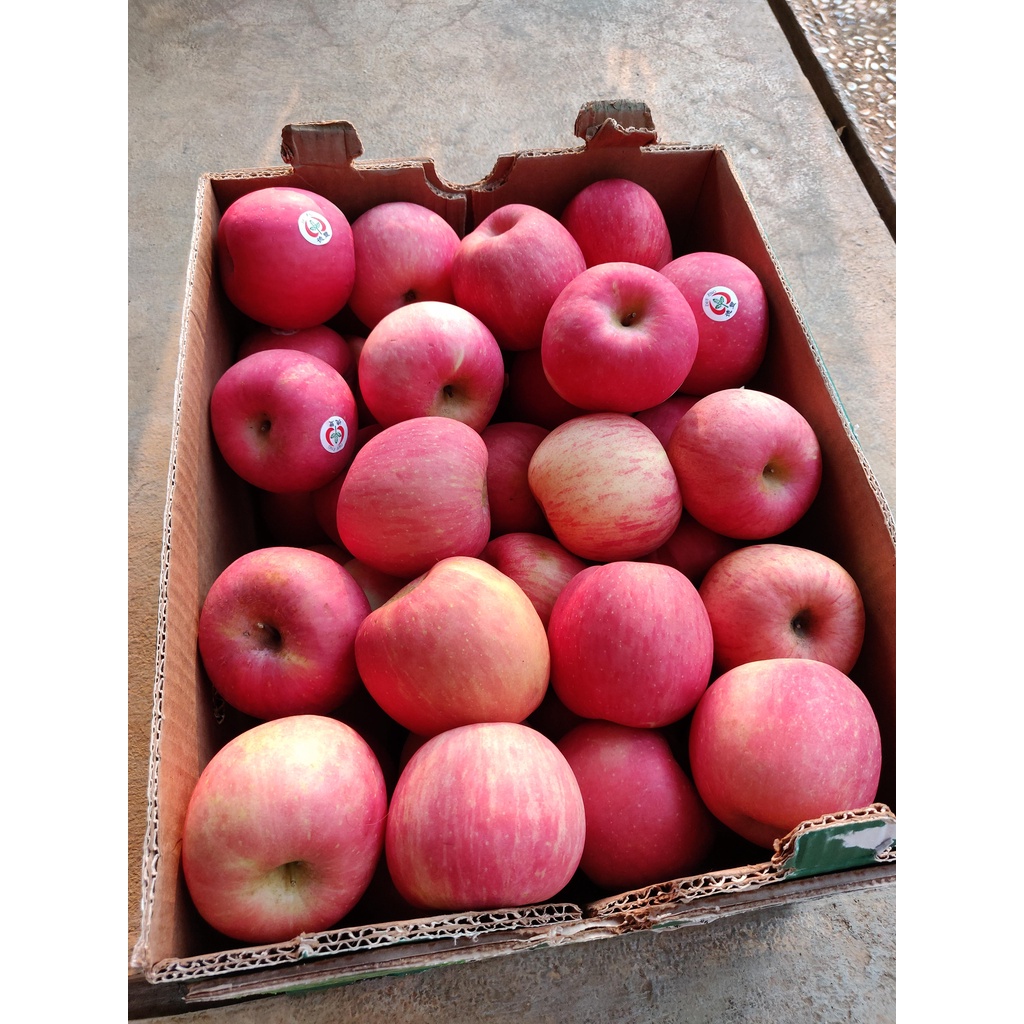 Jual Apple / Buah Apel Fuji RRC Import 1KG Indonesia|Shopee Indonesia