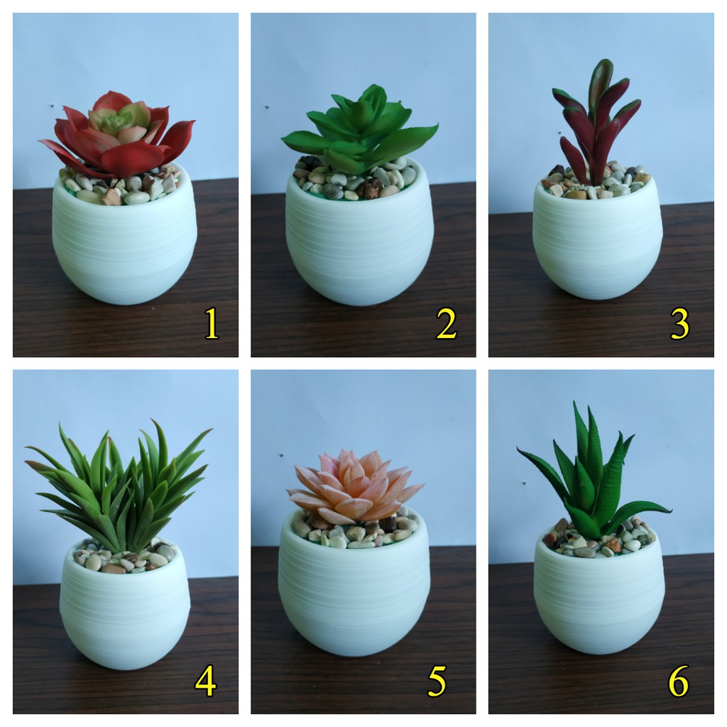 Jual Bunga Kaktus Plastik Plus Pot/Sukulen Artificial/Cactus Artificial ...