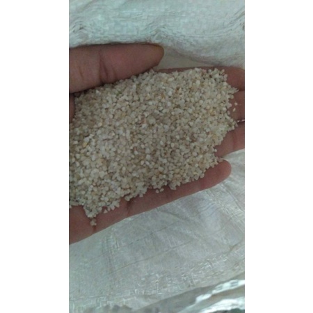 Jual Menir beras 1kg | Shopee Indonesia