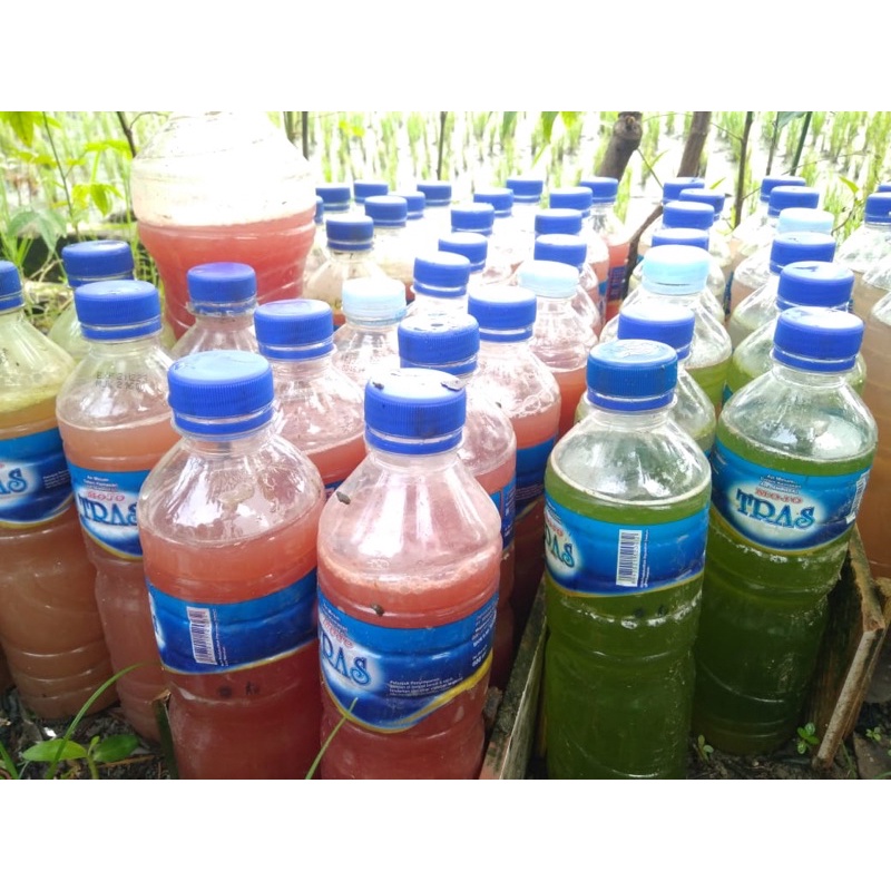 Jual PSB (photosynthetic bactrria) / Bakteri Fotosintesis / Pupuk ...