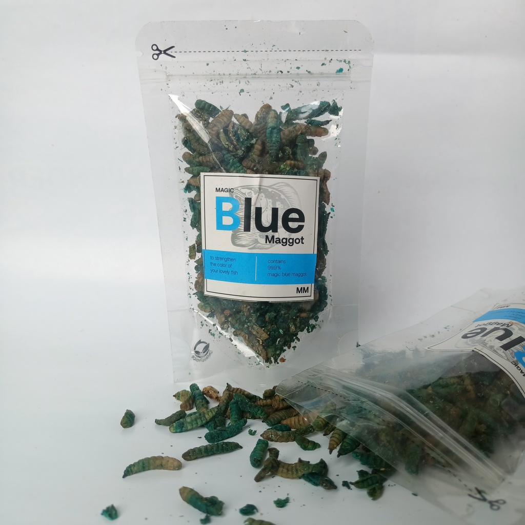 Jual MAGIC COLOR MAGGOT BSF GRADE A++/MAGIC YELLOW MAGGOT/MAGIC BLUE ...