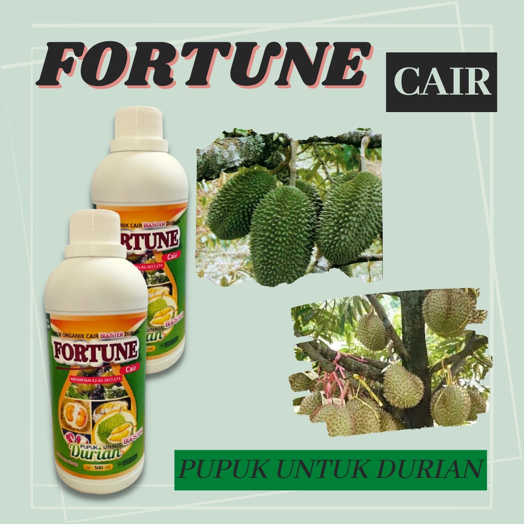 Jual Pupuk Durian Bawor, Pupuk Durian Musang King, Fortune PUPUK DURIAN CAIR TERBAIK | Shopee ...
