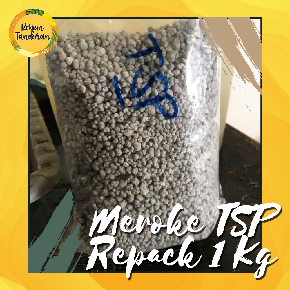 Jual Pupuk TSP Meroke Repack 1 Kg - Pupuk Tripel Super Fosfat ASLI ...