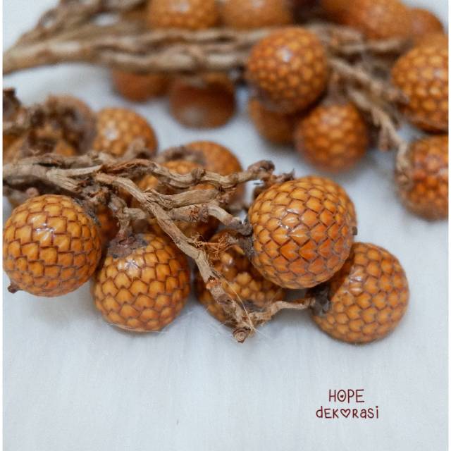 BIJI ROTAN / BIJI SALAK KERAJINAN (isi 10 biji) | Shopee Indonesia