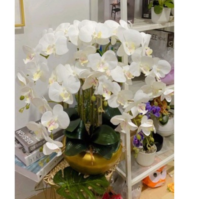 Jual Bunga anggrek jumbo vas gold anggrek bulan anggrek latex mewah ...