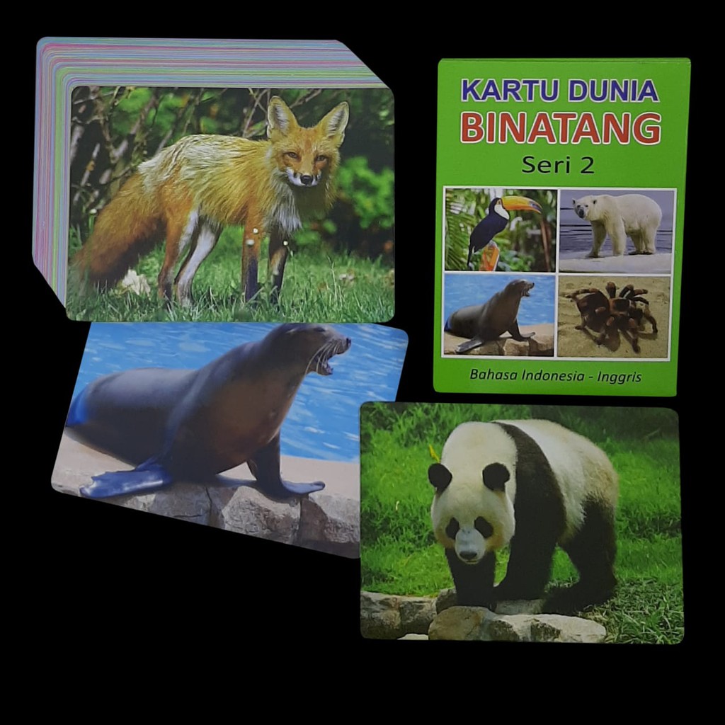 Flashcard Kartu Dunia Binatang Seri 2 Flash Card Bayi Kartu Hewan Murah ...