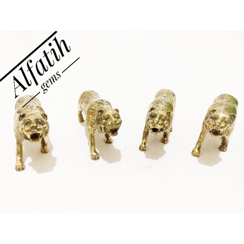 Jual SPESIAL Macan loreng kuningan | Shopee Indonesia