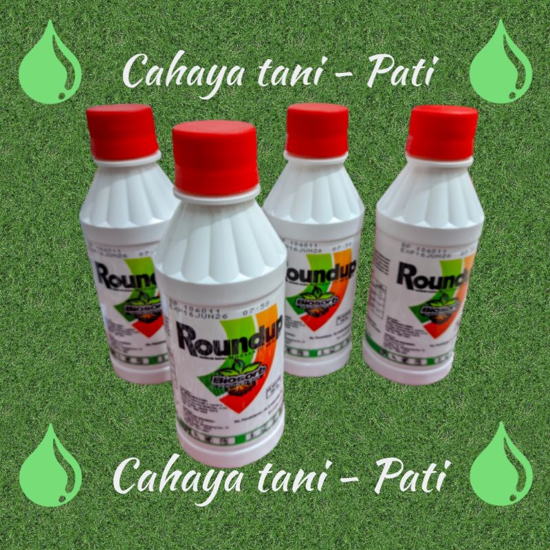 Jual Roundup 200ml | Shopee Indonesia