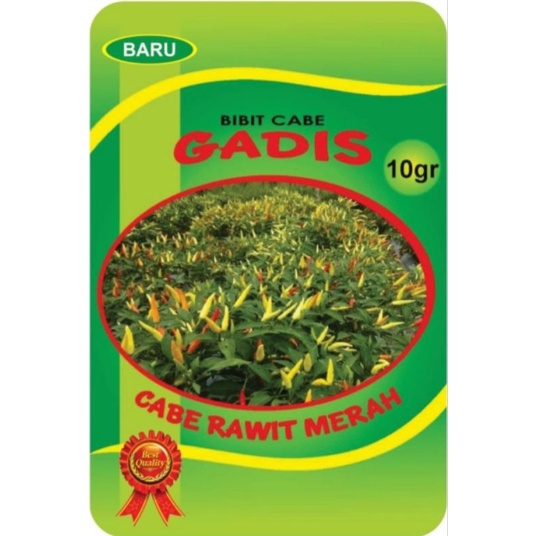 Jual Bibit Cabe Rawit Gadis Shopee Indonesia