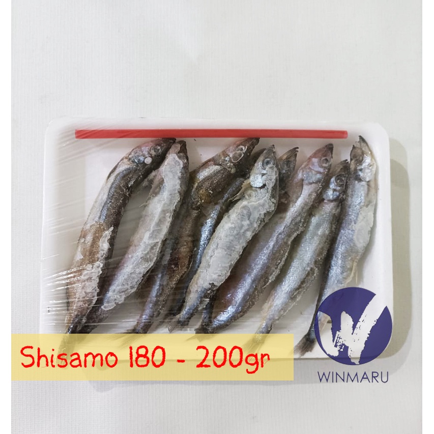 Jual Shisamo Fish 180 - 200gr / Ikan Shisamo | Shopee Indonesia