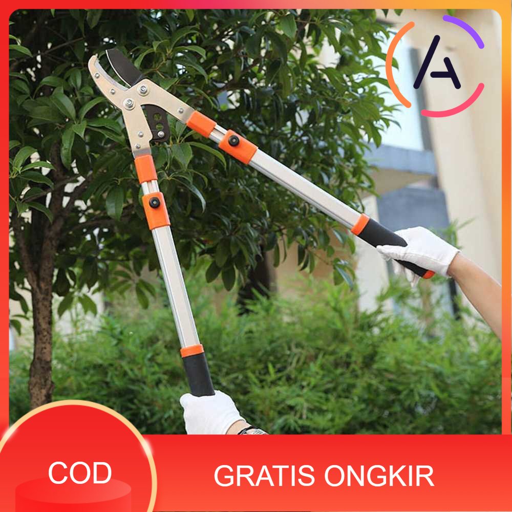 Jual Gunting Ranting Pohon Dahan Tanaman Telescopic | Shopee Indonesia