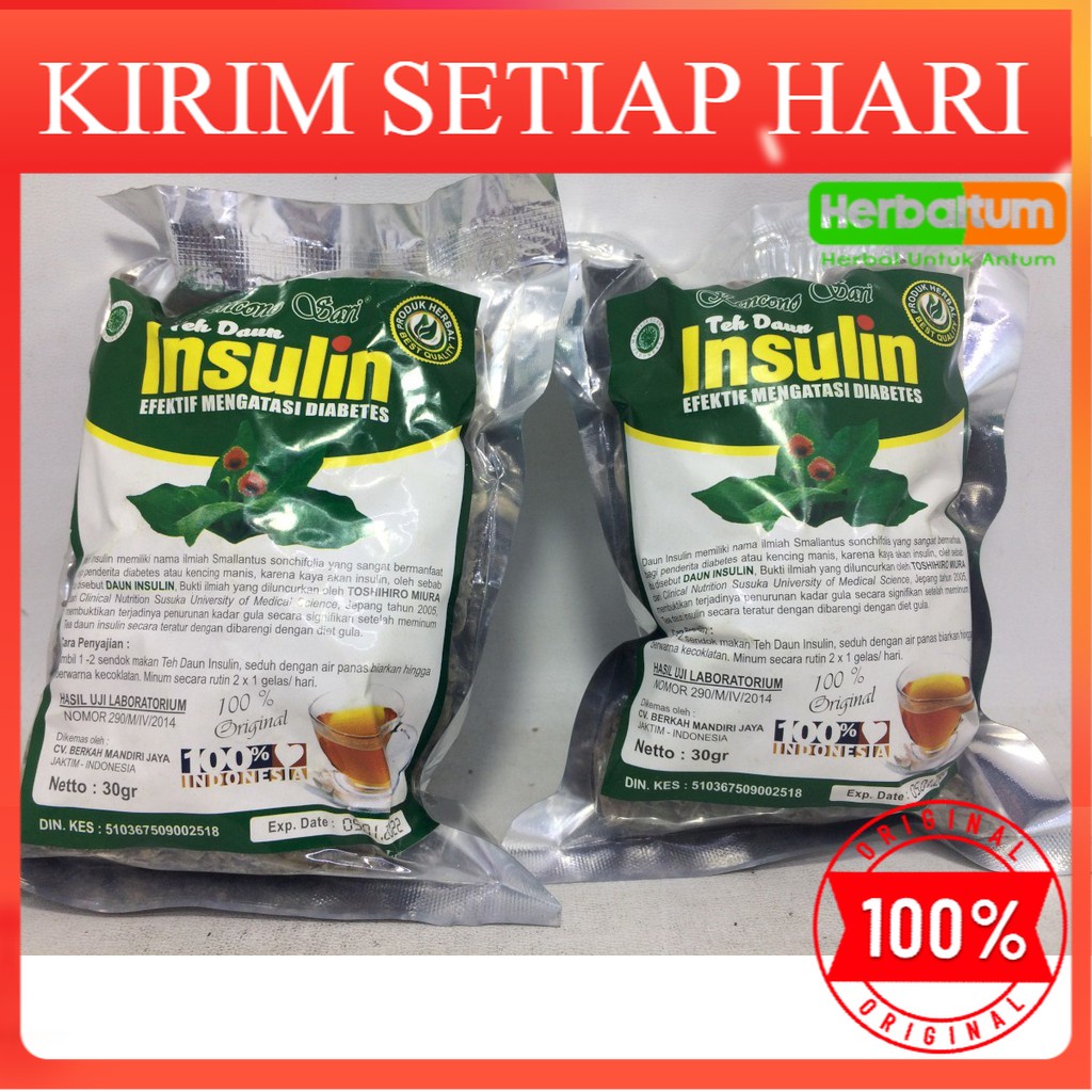 Jual Daun Insulin 30 gr 40gr | Herbal Insuline untuk Diabetes | Tanaman ...