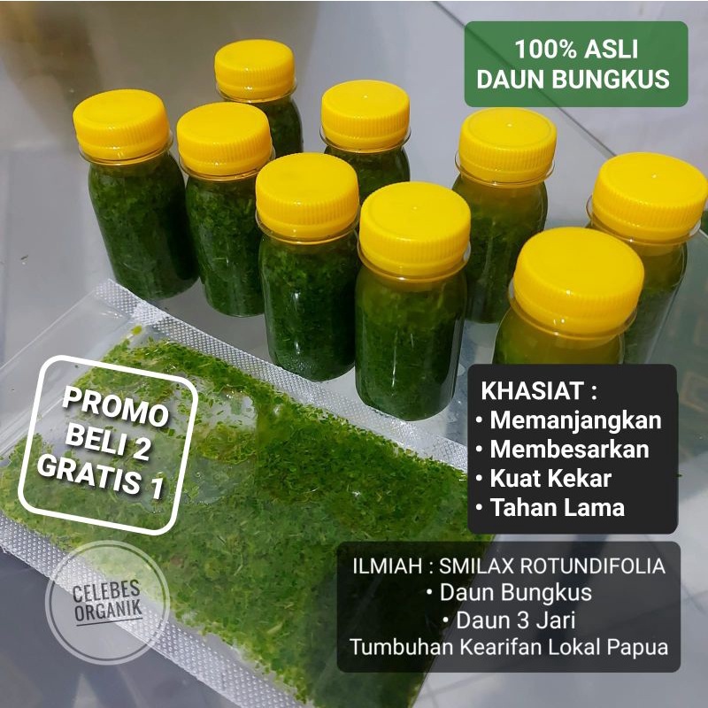 Jual Daun Bungkus Papua Asli 100% Herbal Organik (Garansi Uang Kembali ...