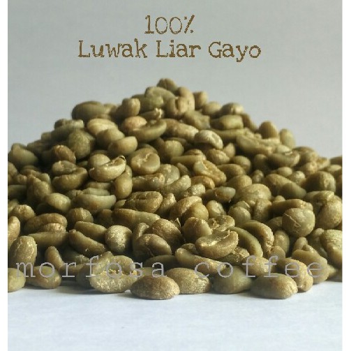 Jual GREEN BEAN KOPI LUWAK LIAR GAYO 1KG / KOPI LUWAK LIAR GAYO BIJI ... Jual GREEN BEAN KOPI LUWAK LIAR GAYO 1KG / KOPI LUWAK LIAR GAYO BIJI ...