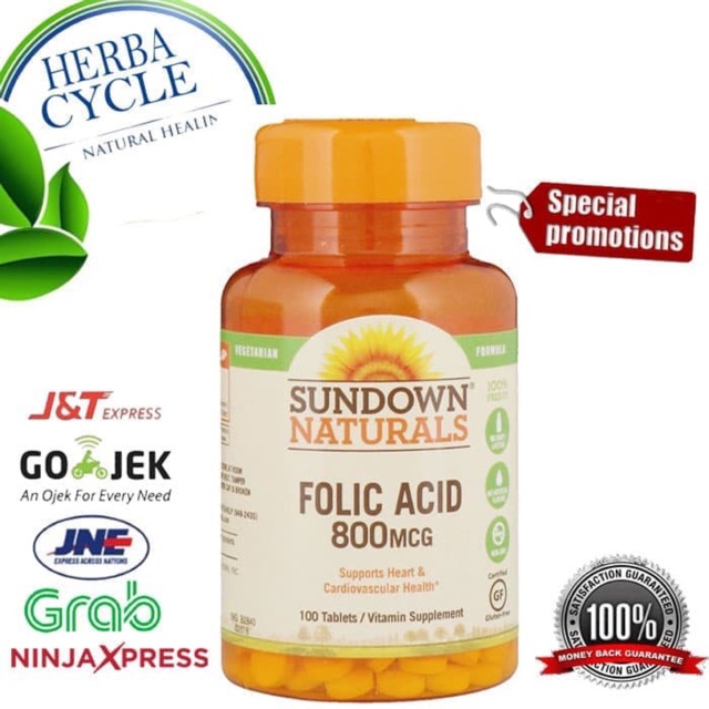 Harga folic acid sundown Terbaru Jul 2025 | BigGo Indonesia