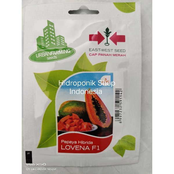 Jual Benih Pepaya Hibrida Lovena F1 Cap Panah Merah East West Seed 5 ...