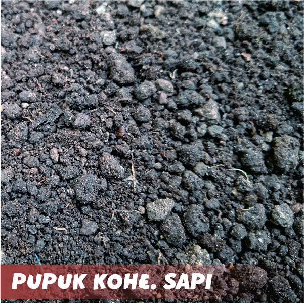 Jual Pupuk Kandang - Kompos Sapi | Shopee Indonesia