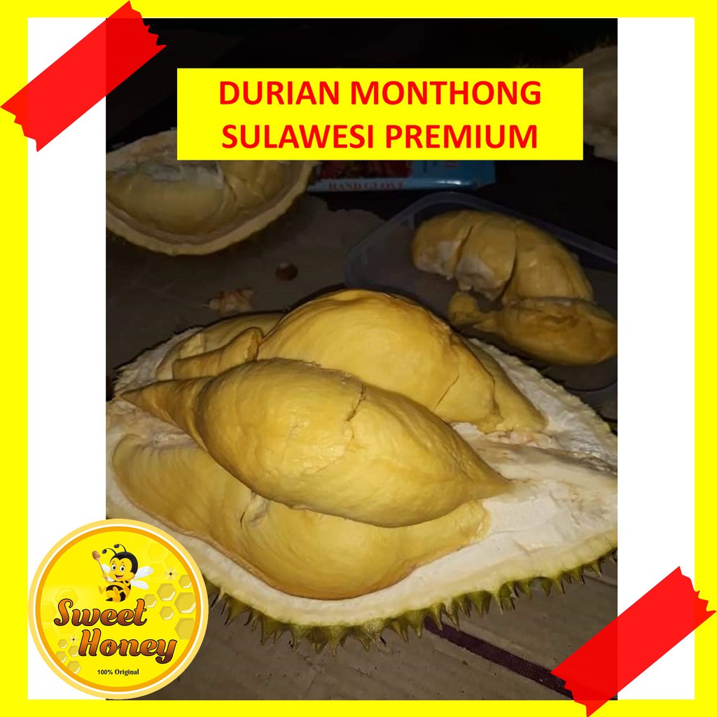 Jual Durian Kupas Monthong Palu | Shopee Indonesia