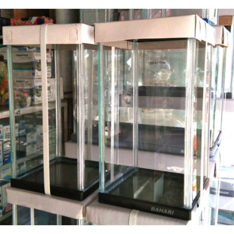 Jual Aquarium Ikan Cupang / Soliter Ikan Cupang Akrilik Bahari ...