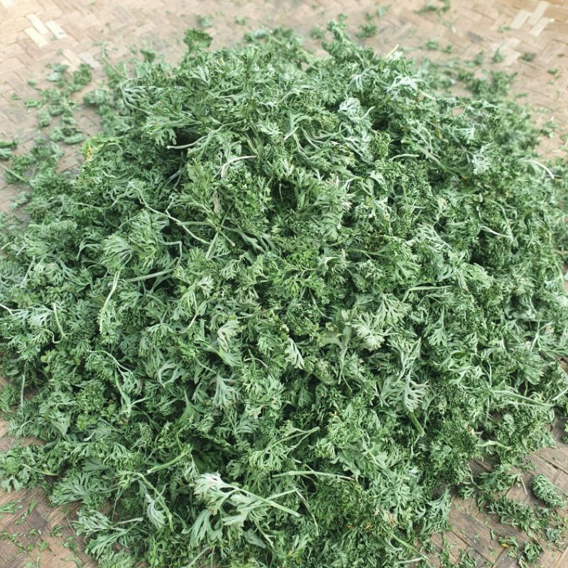 Jual Daun Parsley Kering daun Peterseli kering | Shopee Indonesia