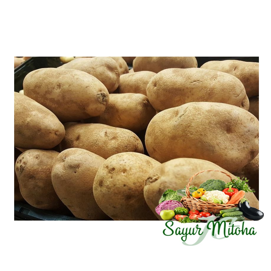 Jual Kentang - Sayur Segar - Pasar Online Bandung | Shopee Indonesia