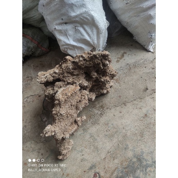 Jual Batu pasir Hiasan Aquarium batu alam asli no kaleng2 batu ...