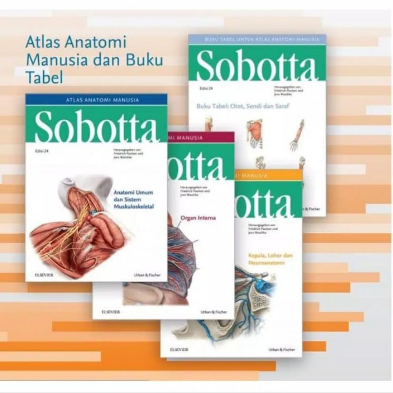 Jual [ORIGINAL] Sobotta Atlas Anatomi Manusia dan Buku Tabel Edisi 24 ...