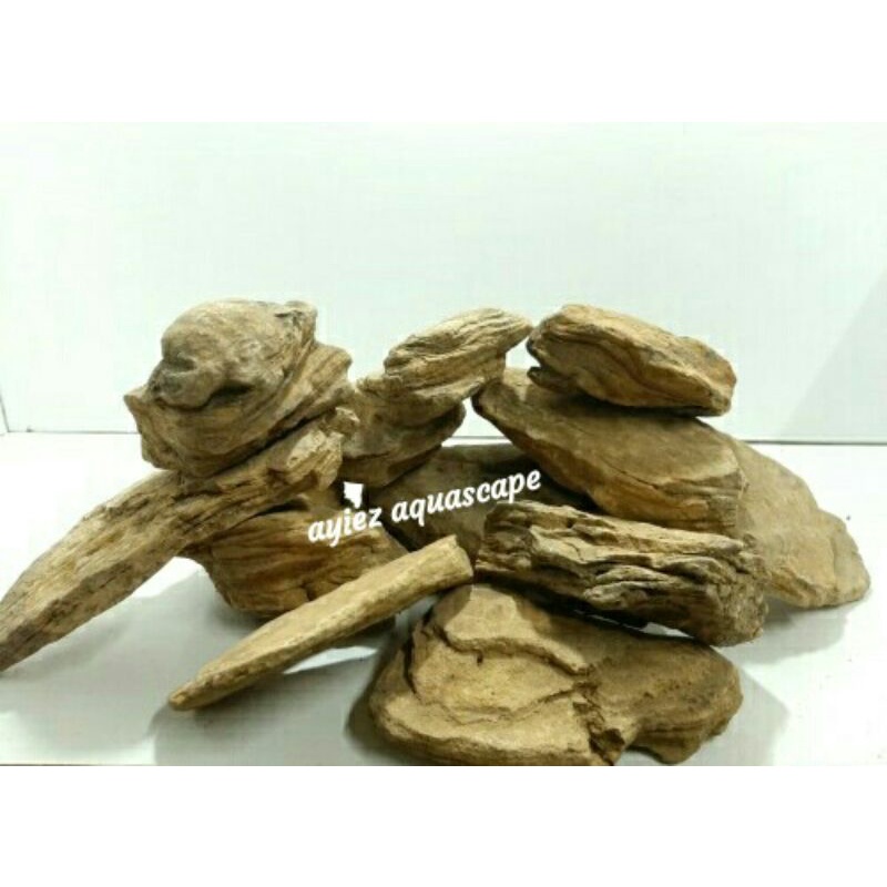 Jual BATU BOBING AKUARIUM AQUASCAPE PALUDARIUM | Shopee Indonesia