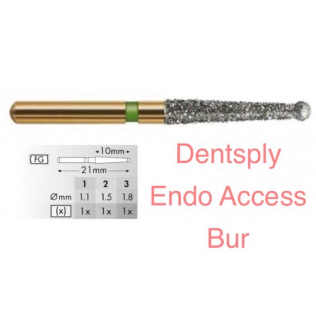 Jual Halodent Dental Endo Access Bur Diamond FG Dentsply | Shopee Indonesia