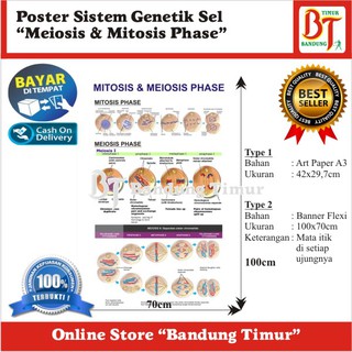 Jual POSTER SISTEM GENETIK SEL MEIOSIS DAN MITOSIS PHASE | Shopee Indonesia