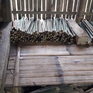 Jual Bambu Pletokan Paket 10 kg | Shopee Indonesia