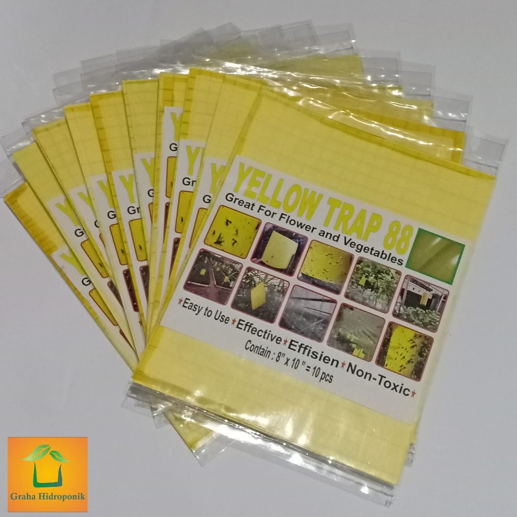 Papper Yellow Trap Kertas Perangkap Hama Tanaman Kuning per pack isi 10 ...