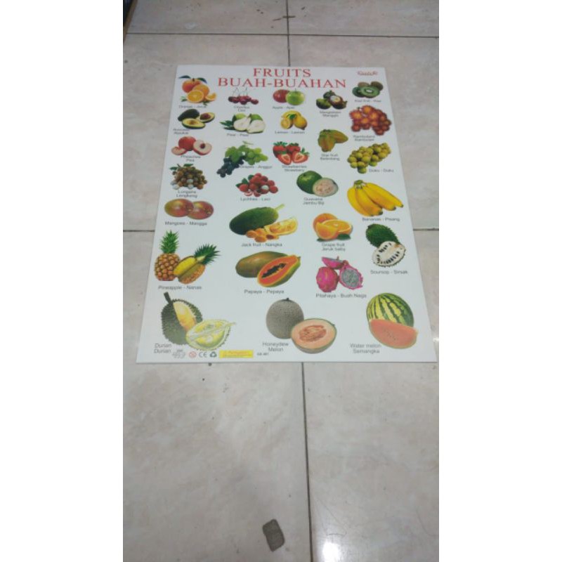Jual Poster BUAH & Menu Sehat | Shopee Indonesia