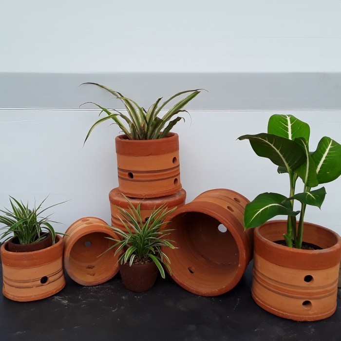 Jual Pot Anggrek Tanah / Pot Anggrek Liter Terakota No 3 | Shopee Indonesia