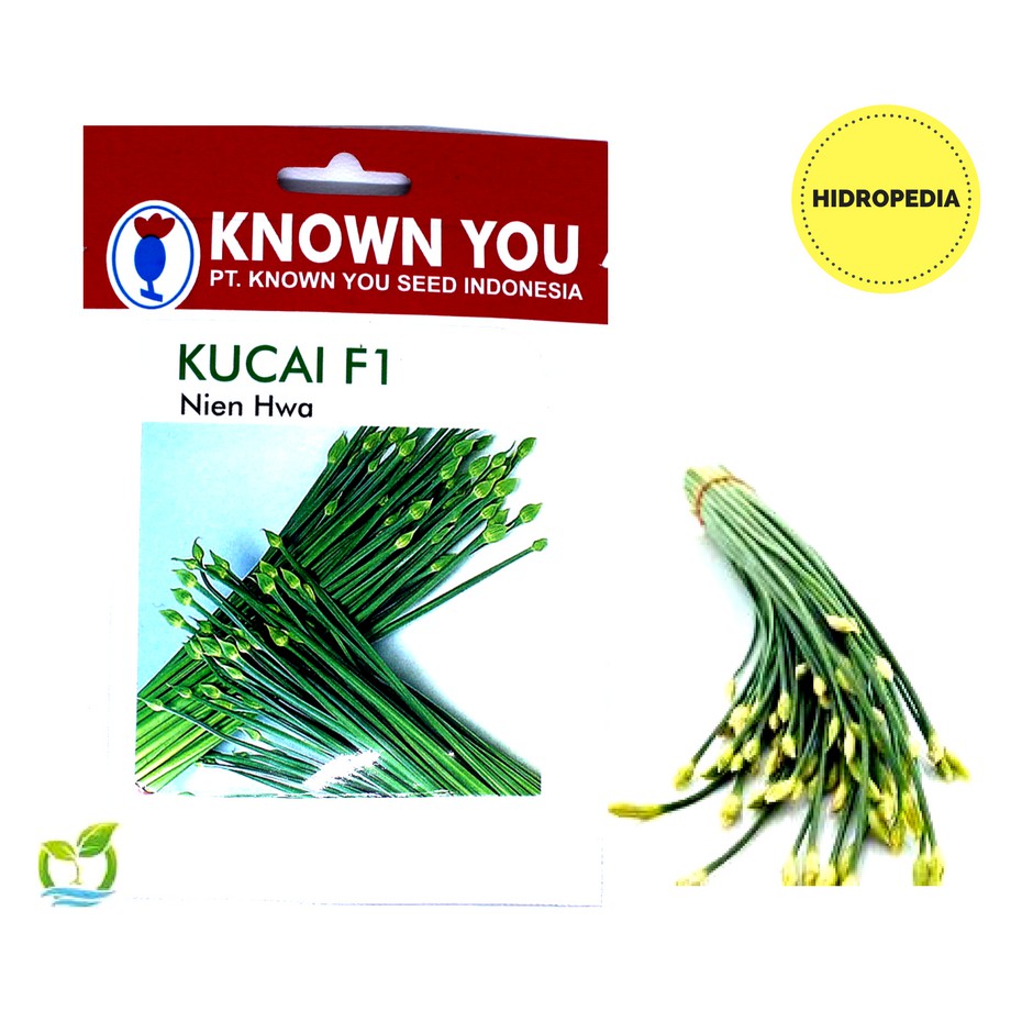 Jual Benih Daun Bawang Kucai / Chives / Lokio Nien Hwa (90 Biji ...