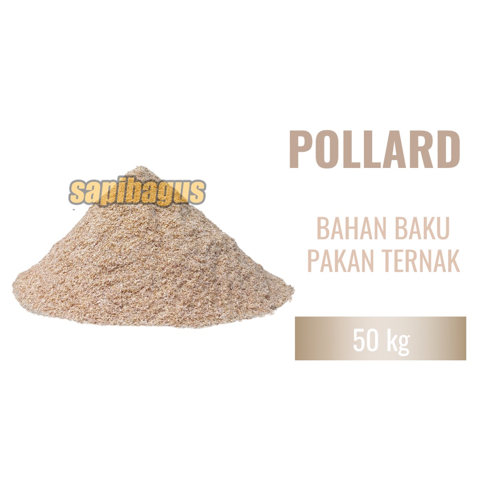 Jual Pollard Bran Gandum 50 kg - Cap Kepala Kuda - Sapibagus Indonesia ...