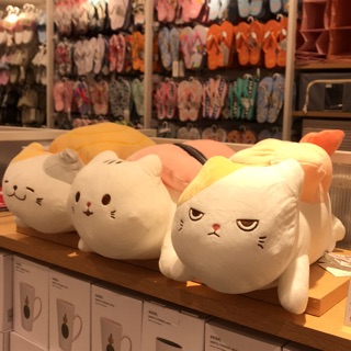 Jual miniso | sushi cat plush toy 35cm miniso Indonesia|Shopee Indonesia