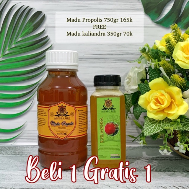 Jual PROMO BELI 1 Gratis 1 Madu propolis 750gr | Shopee Indonesia